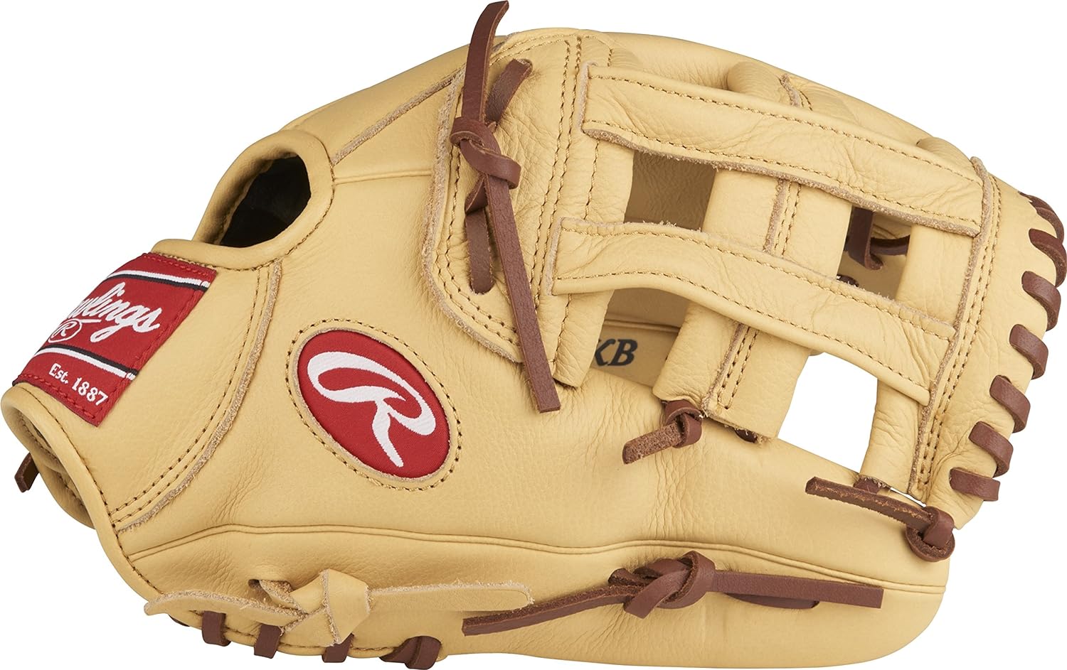 Best Baseball Gloves | A Comprehensive Guide – Baseball Bargains